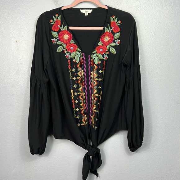 entro | Tops | Entro Black Floral Embroidered Tie Hem Balloon Sleeve ...